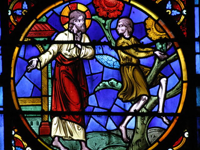 Admiración: el árbol de Zaqueo - Oraciones y Pruebas de Dios