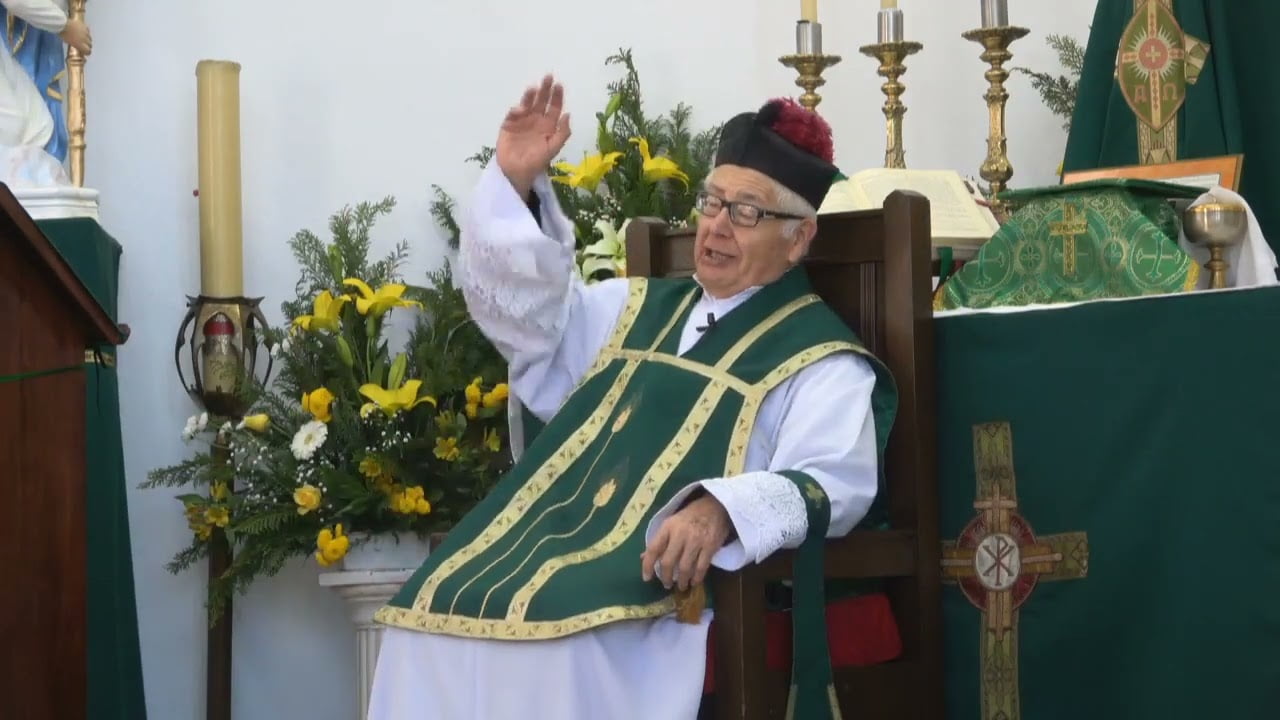 788-El tiempo de la siega. EN ESTA VIDA triunfarán LOS MALOS, pero tu ...